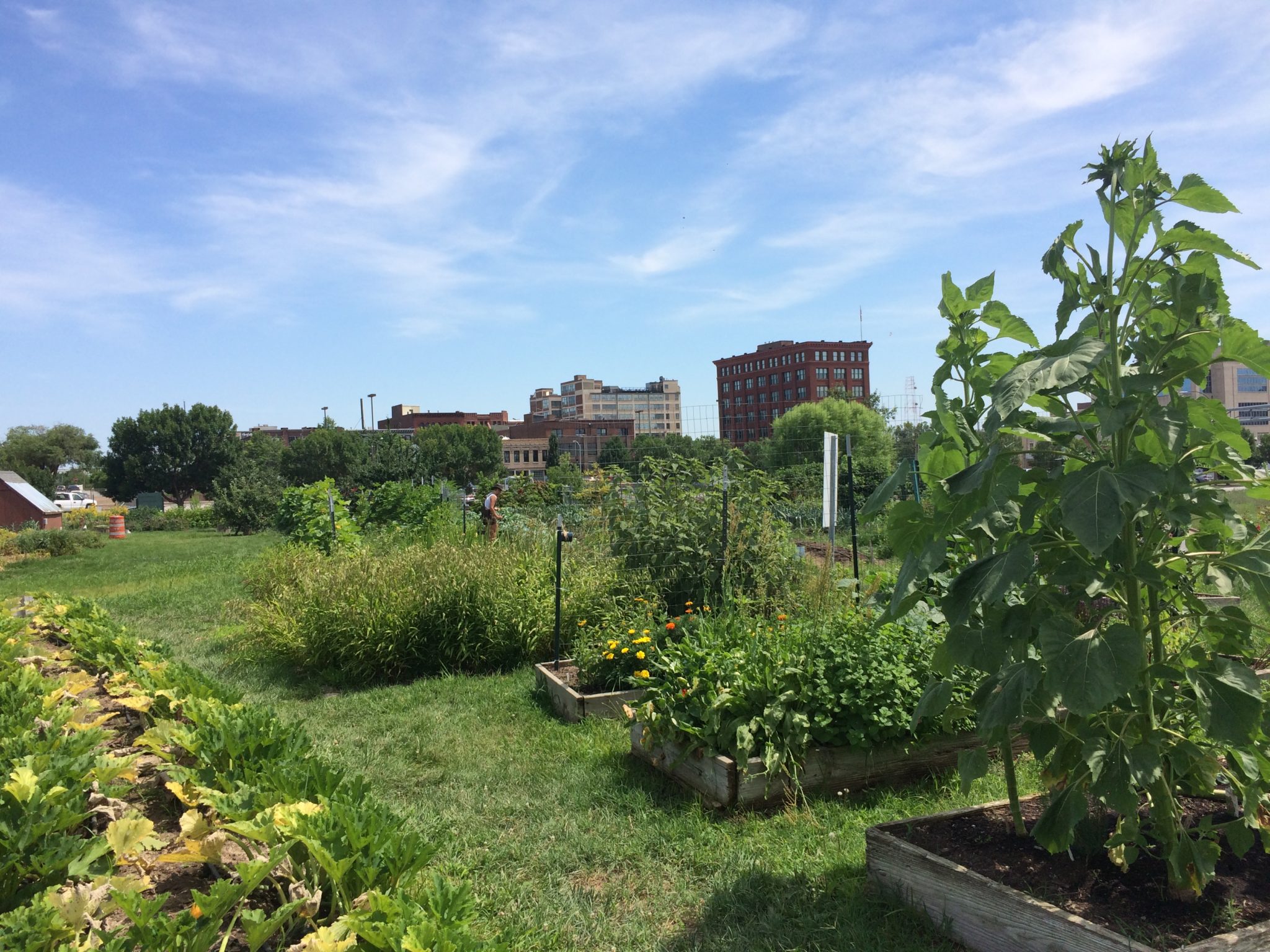 Local Food Hero: Gateway Greening - Missouri Coalition for the Environment