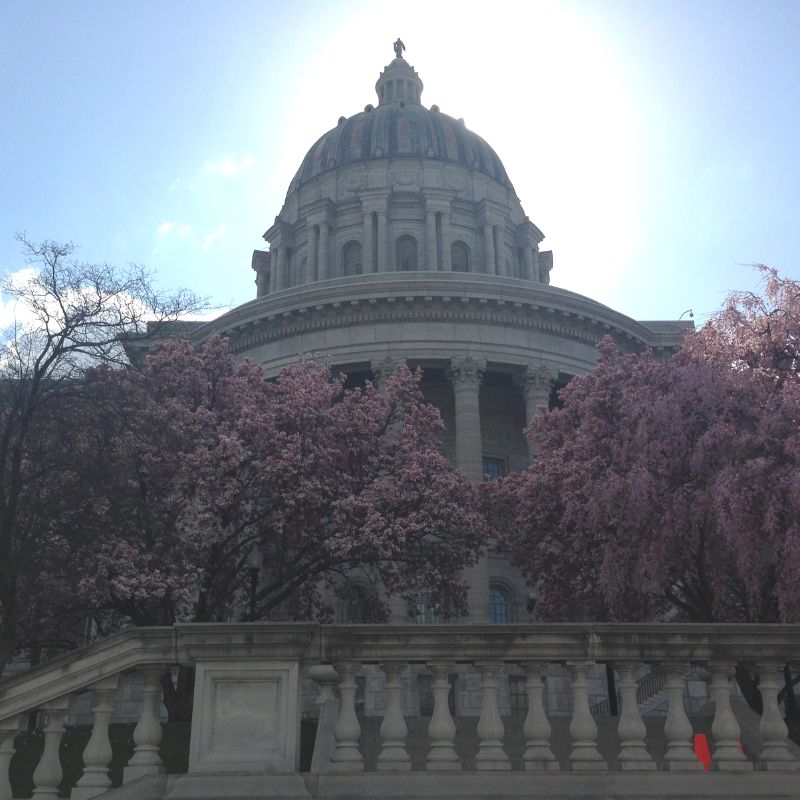 2020 Environmental Priorities - Missouri Coalition for the Environment