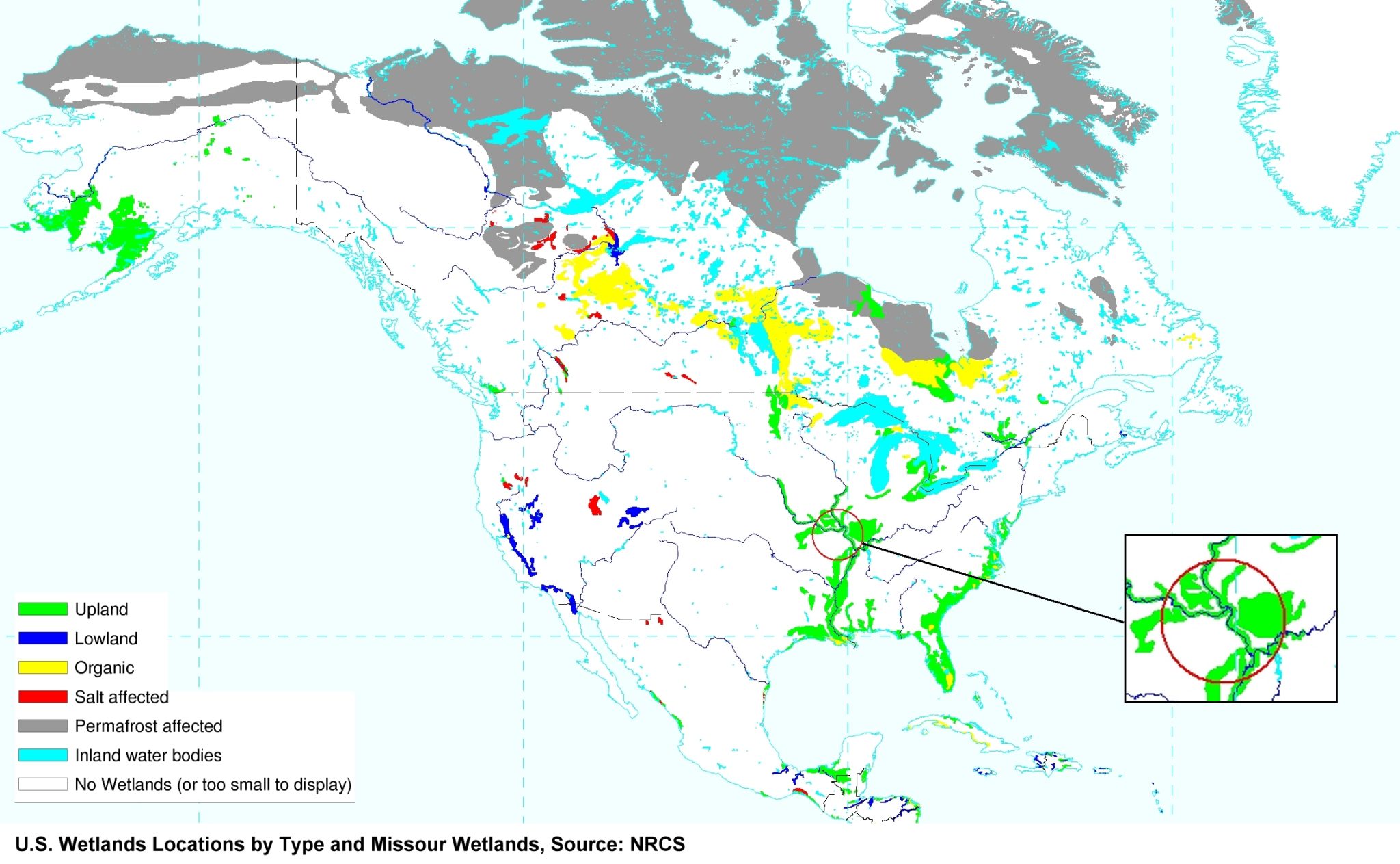 Wetlands : How nature filters and stores water - Missouri Coalition for ...