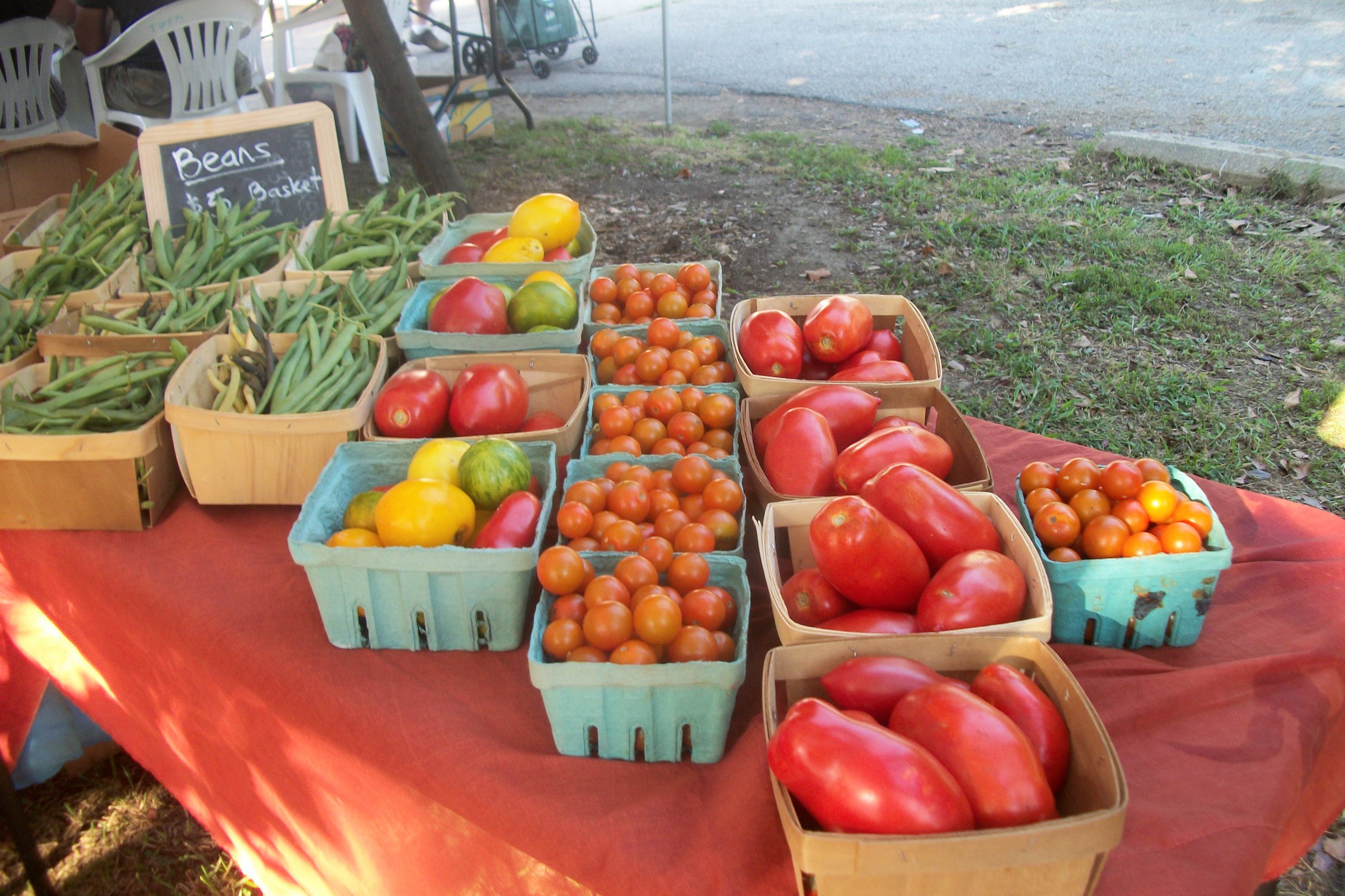 A Guide to Temporary Food Permits in the City of St. Louis - Missouri ...