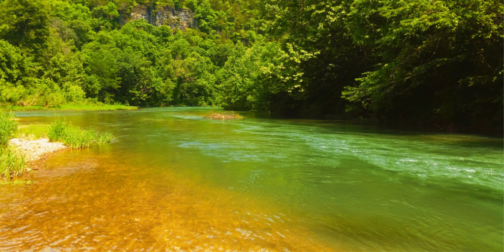 The Eleven Point River Needs Your Help - Missouri Coalition for the ...